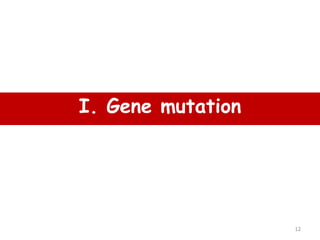 Final Version-Molecular Biology II -DNA damage.pptx