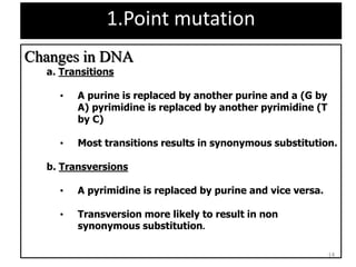 Final Version-Molecular Biology II -DNA damage.pptx