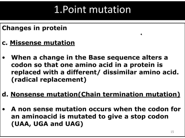 Final Version-Molecular Biology II -DNA damage.pptx