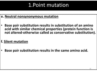 Final Version-Molecular Biology II -DNA damage.pptx