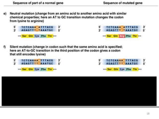 Final Version-Molecular Biology II -DNA damage.pptx