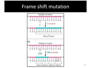 Final Version-Molecular Biology II -DNA damage.pptx