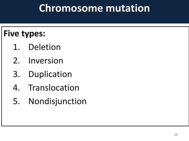 Final Version-Molecular Biology II -DNA damage.pptx