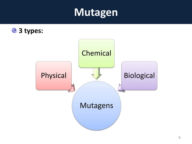 Final Version-Molecular Biology II -DNA damage.pptx