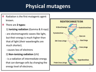 Final Version-Molecular Biology II -DNA damage.pptx