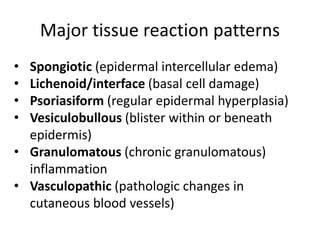 Interpretation of Pathology Reports in Biopsies for Dermatitis | PPTX