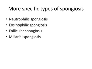 Interpretation of Pathology Reports in Biopsies for Dermatitis | PPTX