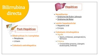 Ictericia y Hiperbilirrubinemia | PPTX