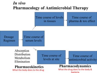 therapeutic drug monitoring of antibiotics | PPT
