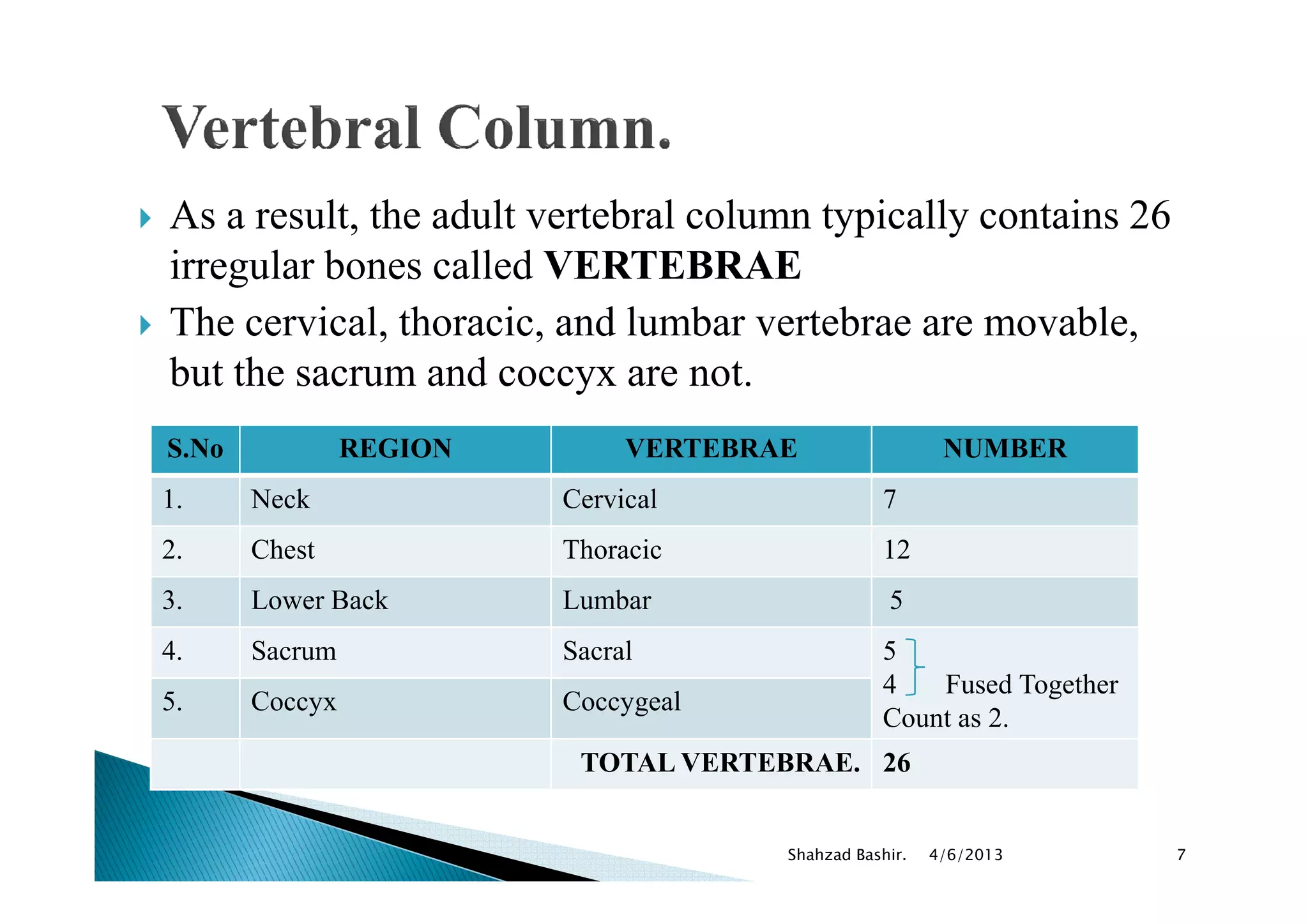 Final vertebral column 2. | PDF