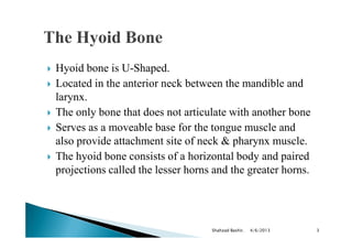 Final vertebral column 2. | PDF