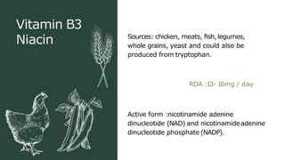 Vitamins biochemistry and deficiency | PPTX