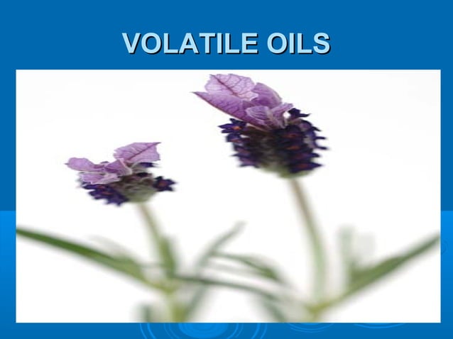 VOLATILE OILS.pdf | Perfume and Fragrance | Beauty