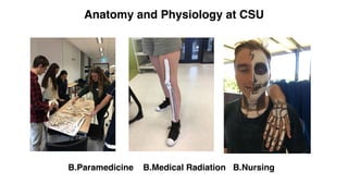 Virtual Reality & the Teaching of Anatomy & Physiology | PDF ...