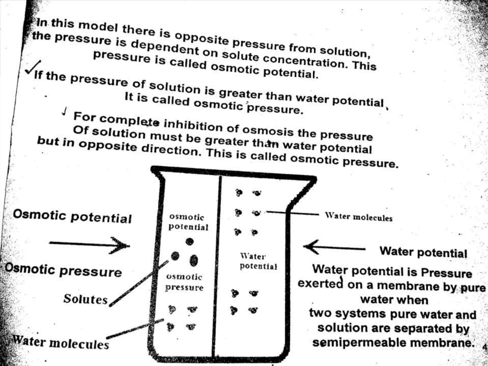 Final water potential | PPTX
