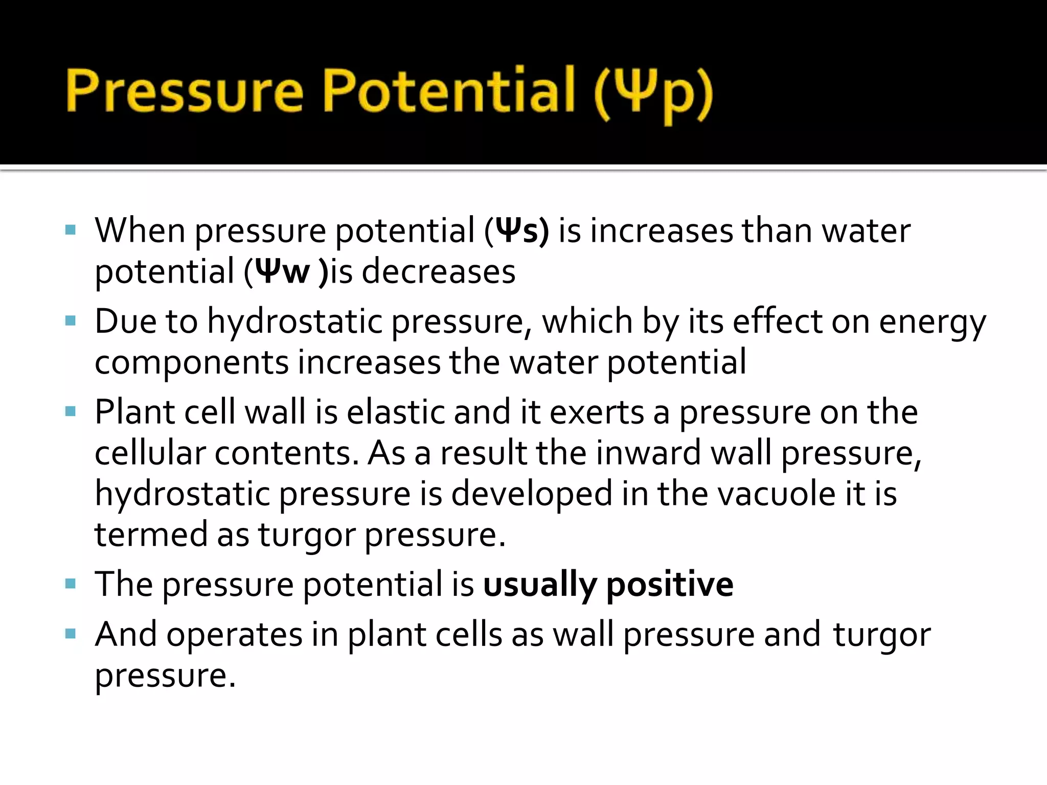 Final water potential | PPTX