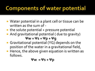 Final water potential | PPTX