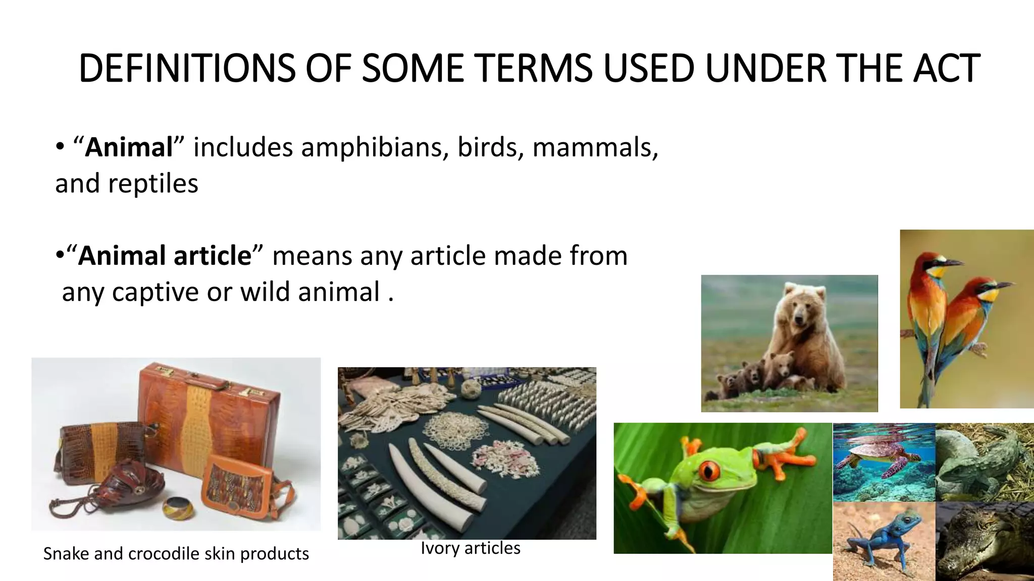 WILDLIFE PROTECTION ACT 1972 | PPTX