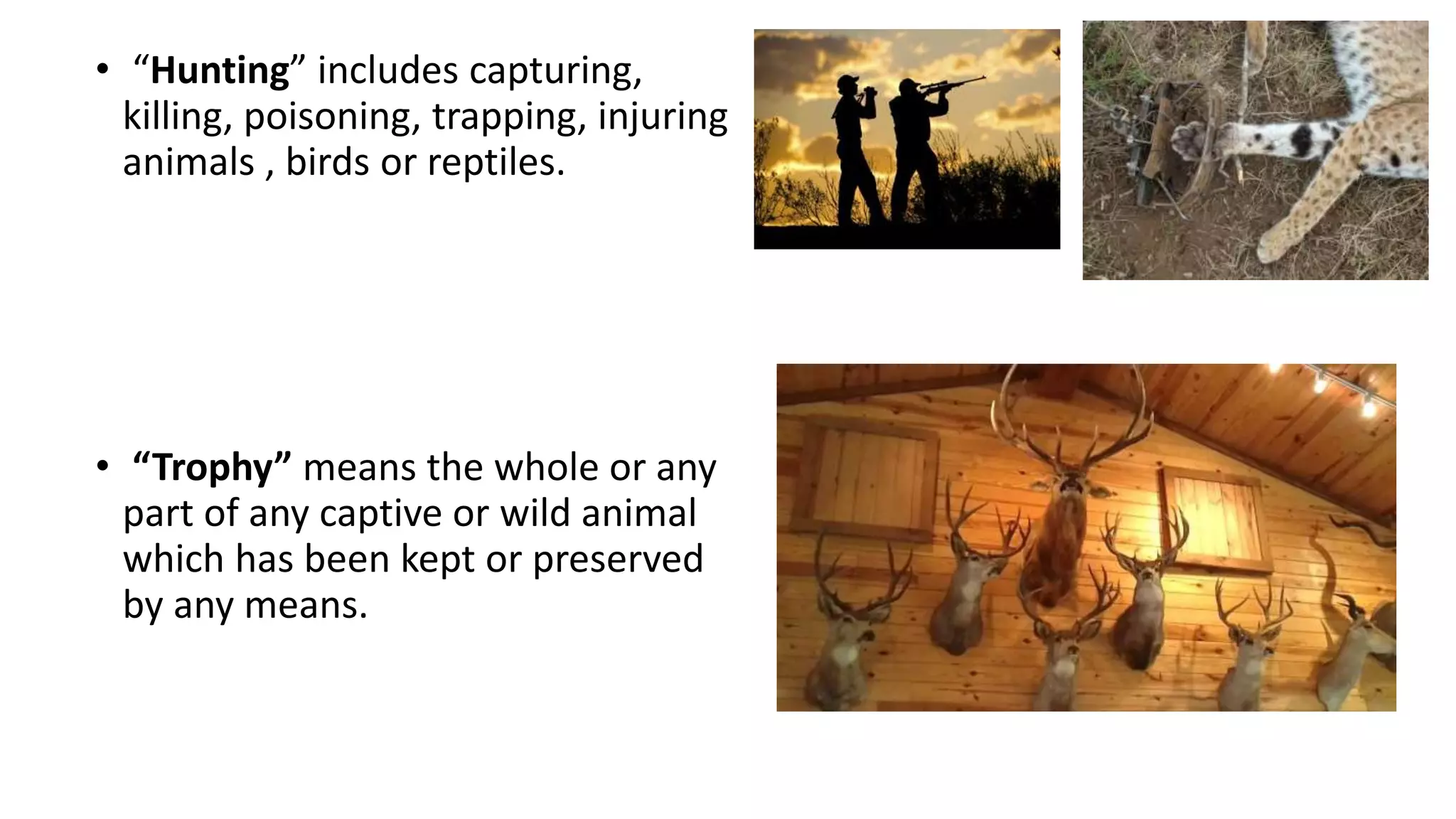 WILDLIFE PROTECTION ACT 1972 | PPTX