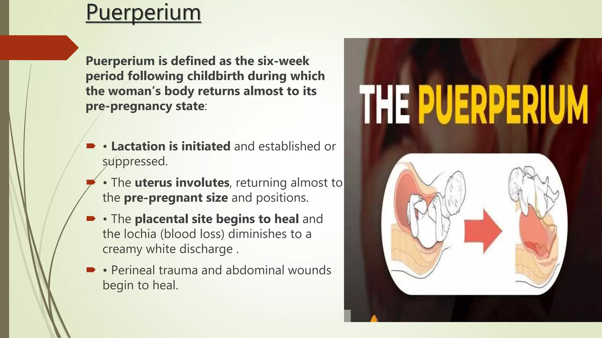 PT IN OBSTETRICS | PPTX