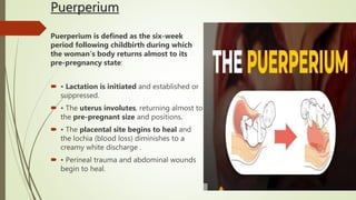 PT IN OBSTETRICS | PPTX