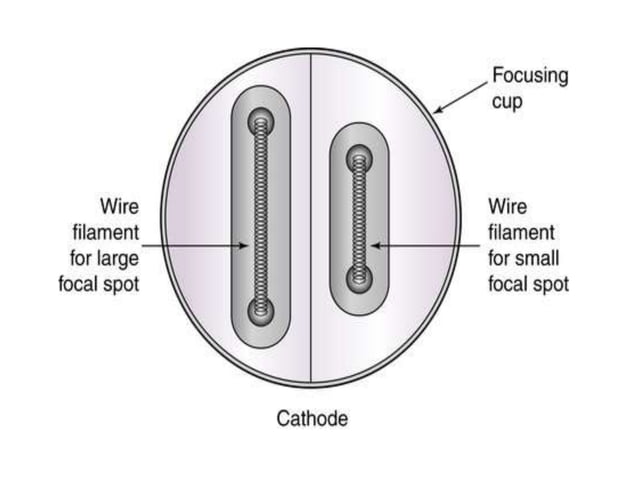 Components of X-Ray Tube | PPTX | Physics | Science
