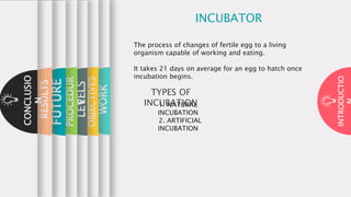 EGG INCUBATOR | PPTX