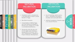 EGG INCUBATOR | PPTX