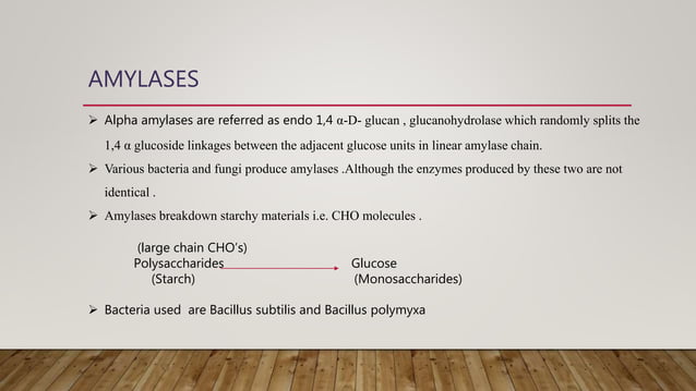 INDUSTRIAL PRODUCTION OF AMYLASES AND PROTEASES | PPTX
