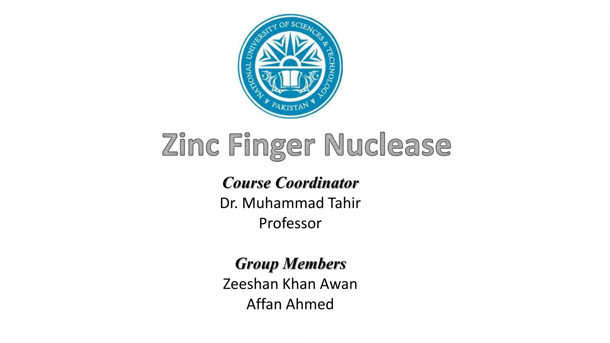 Zinc Finger Nuclease. | PPTX
