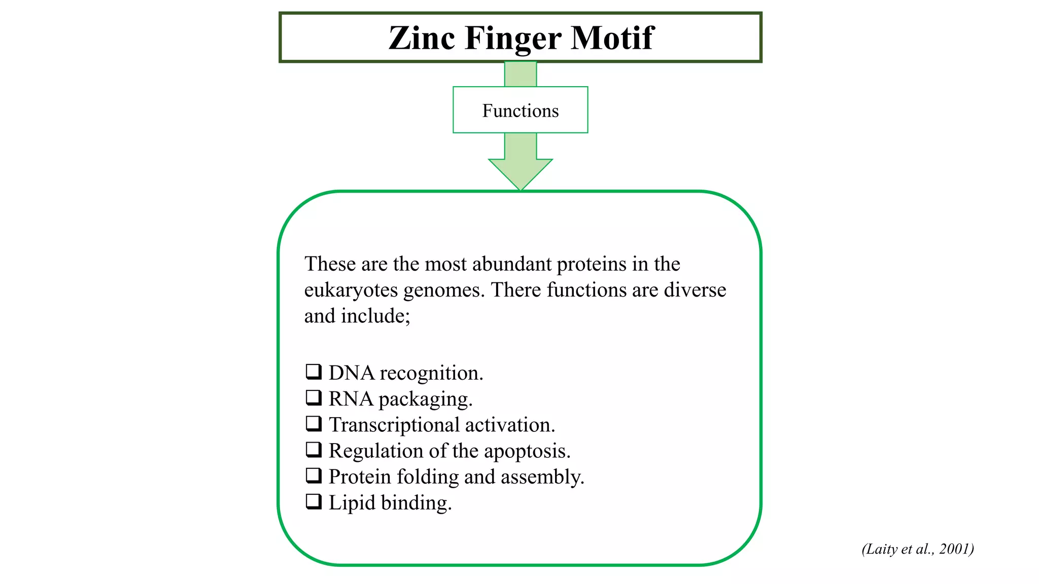 Zinc Finger Nuclease. | PPTX