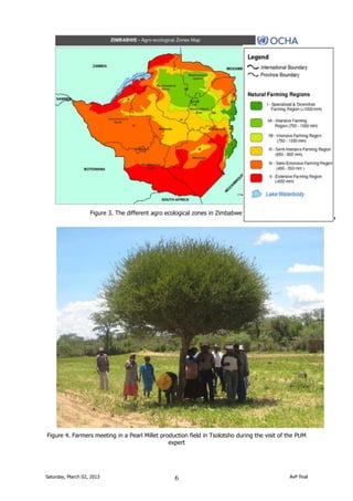 Final zimbabwe | PDF
