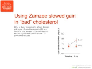 Zamzee Research Results | PPTX