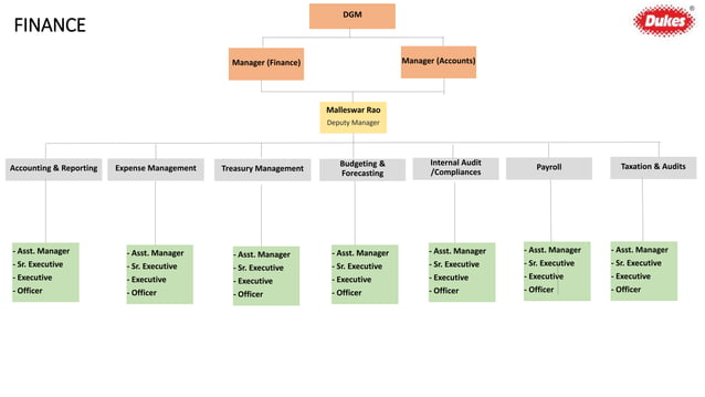 FINANCE ACCOUNTS ORGANOGRAM (002) (002).pptx