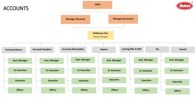 FINANCE ACCOUNTS ORGANOGRAM (002) (002).pptx