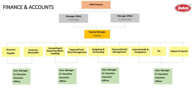 FINANCE ACCOUNTS ORGANOGRAM (002) (002).pptx