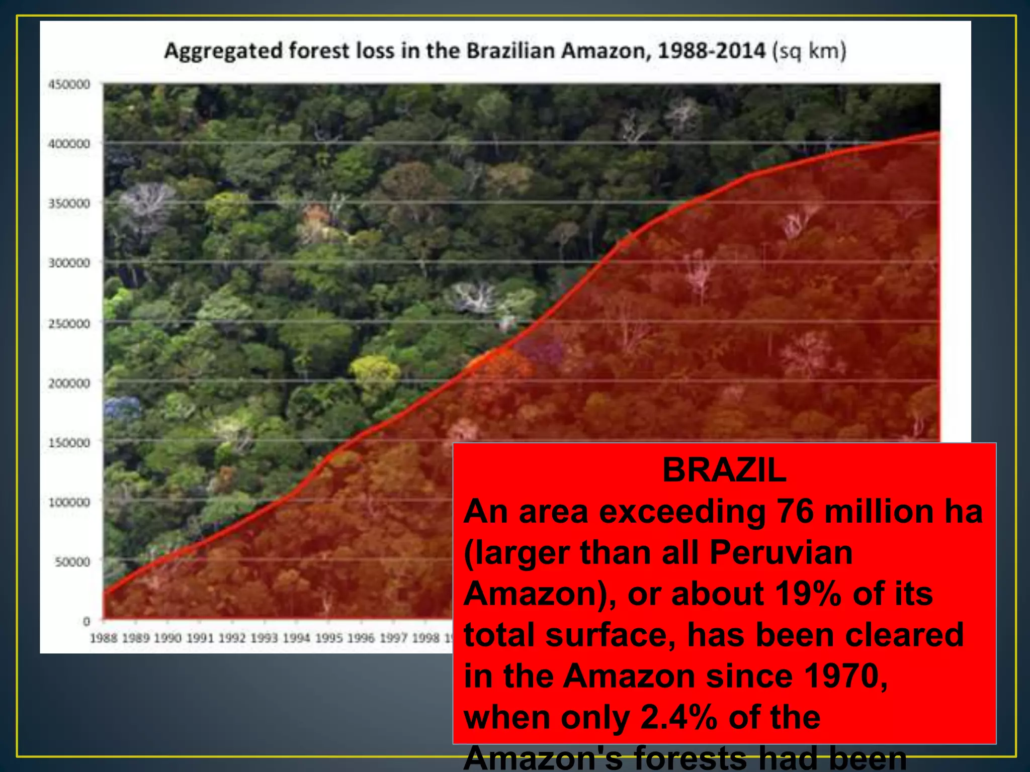 Finance and development trends in amazonia | PPTX | Commodities | Economy