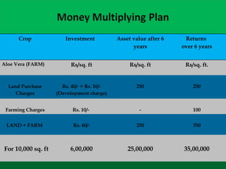 Financial Freedom Aloe Vera Ppt | PPT