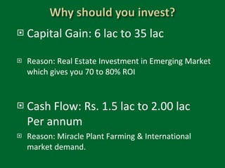 Financial Freedom Aloe Vera Ppt | PPT