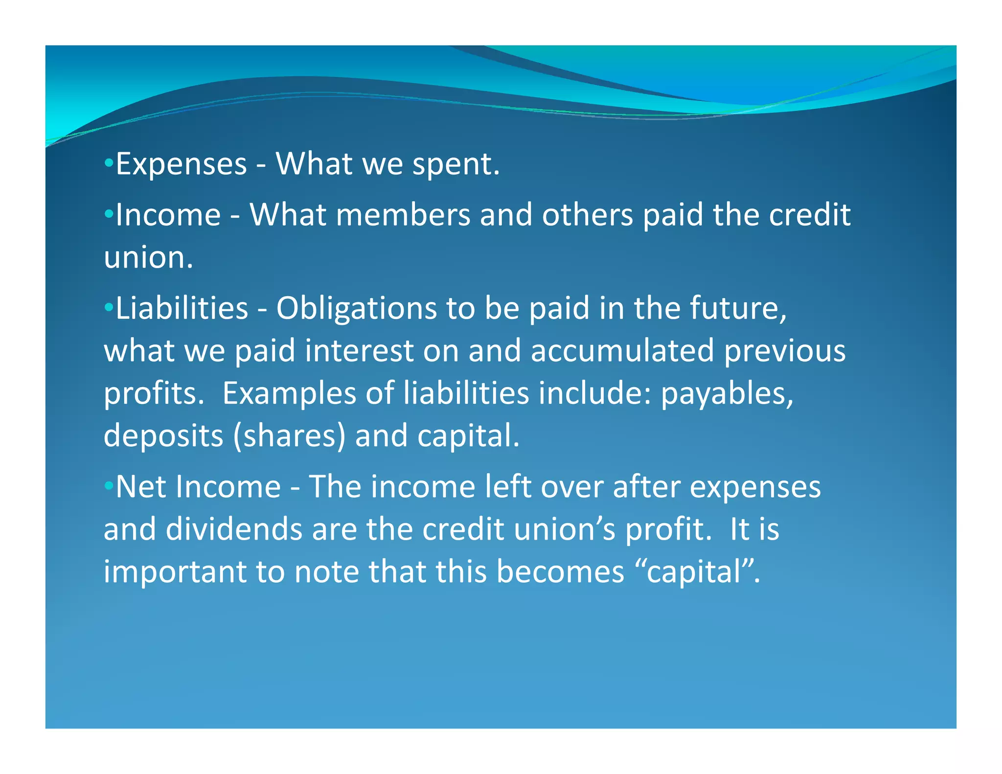 Understanding Credit Union Financial Statements | PDF