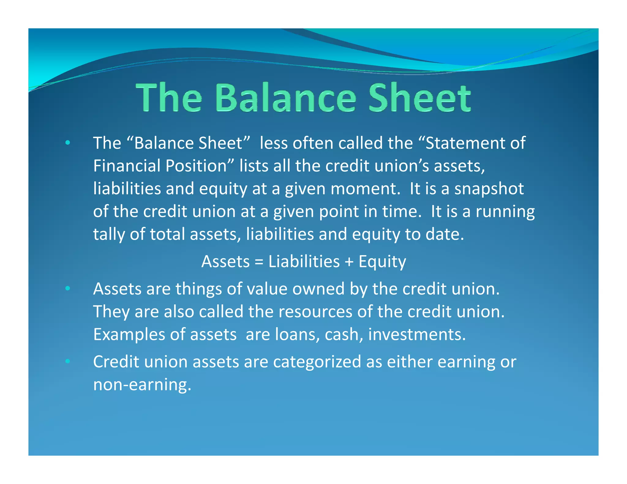 Understanding Credit Union Financial Statements | PDF