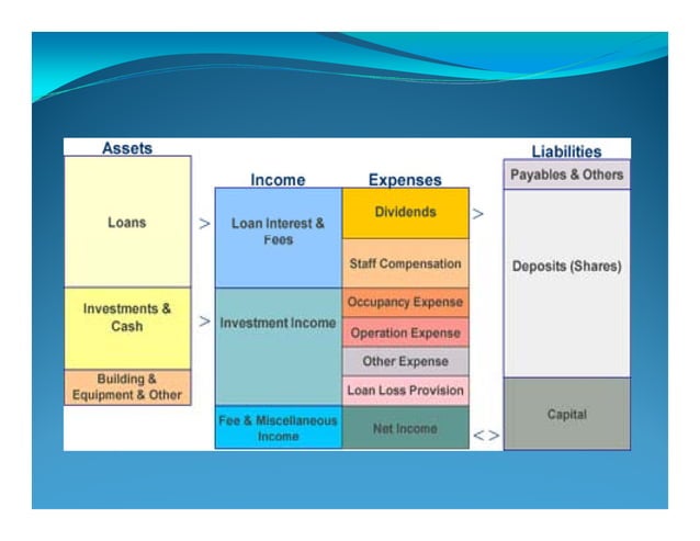 Understanding Credit Union Financial Statements | PDF