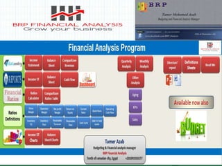 Financial analysis in excel | PPTX