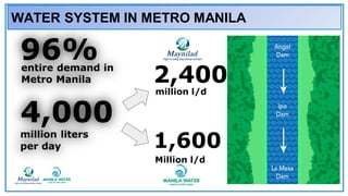 Financial Analysis of Manila Water and Maynilad | PDF