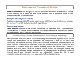 Financial Auditing for Internal Auditors_CPD.pptx