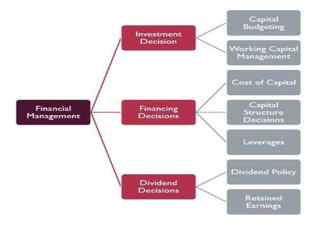 Financial Management