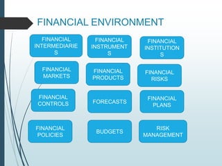 Financial management basics | PPTX