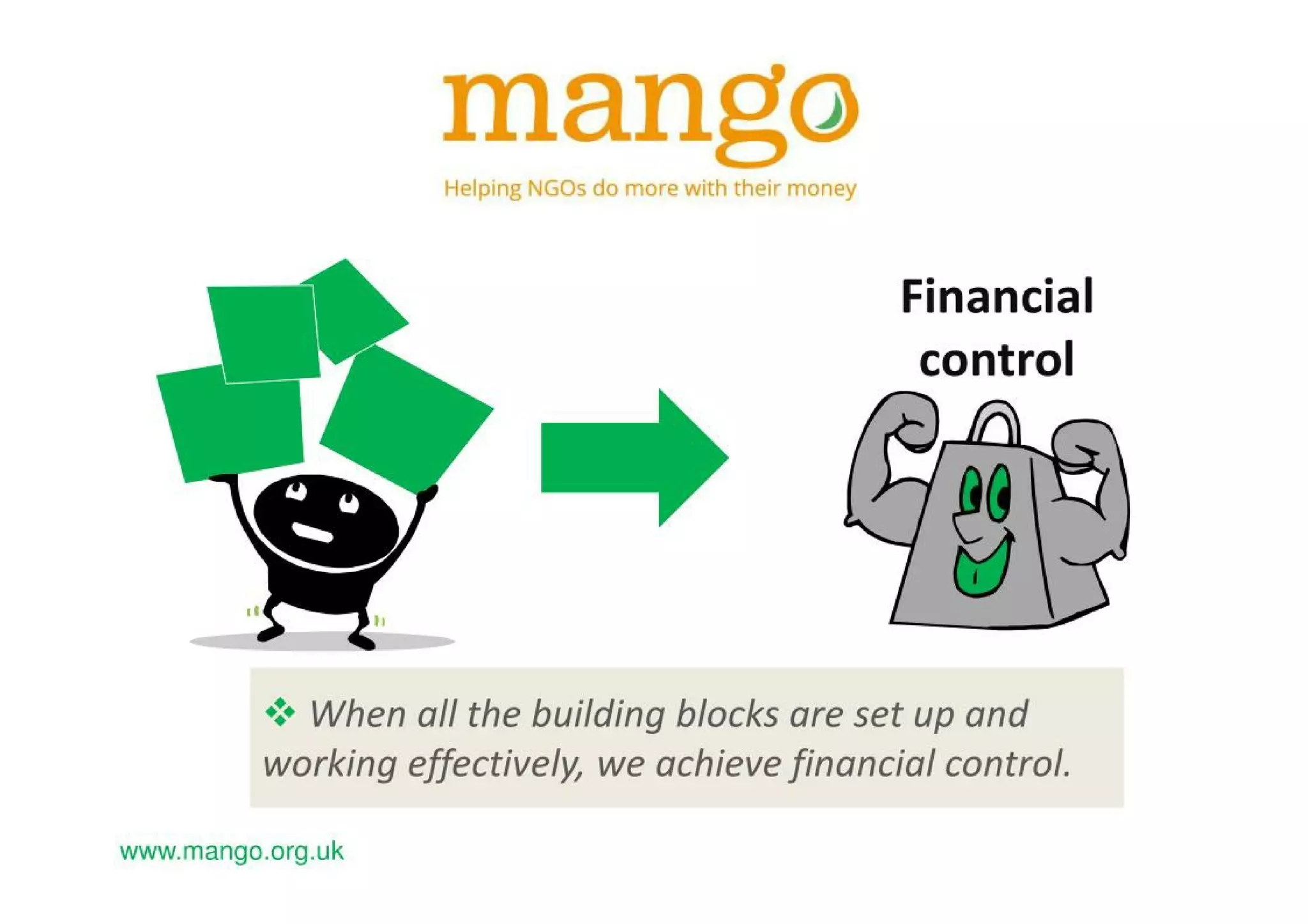 Financial Management For NGOs | PDF