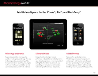 MicroStrategy Business Intelligence Solutions for Financial Services ...