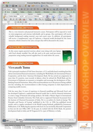 Financial Modelling with VBA Master Class | PDF